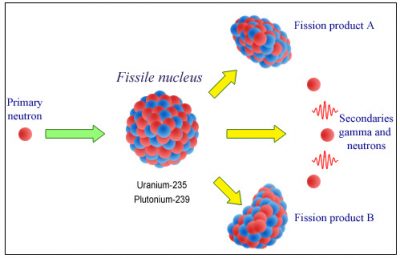 Nuclear Fission - radioactivity.eu.com