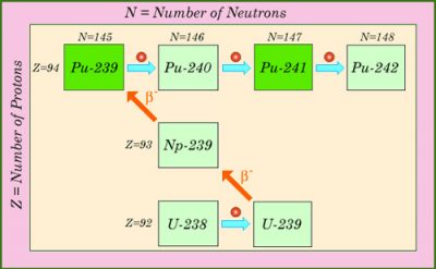 Plutonium Isotopes - radioactivity.eu.com