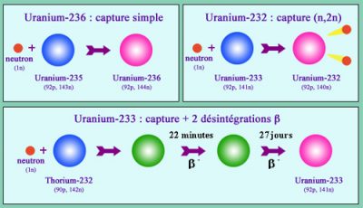 Isotopes de l'uranium - DANS LE NUCLÉAIRE - laradioactivite.com